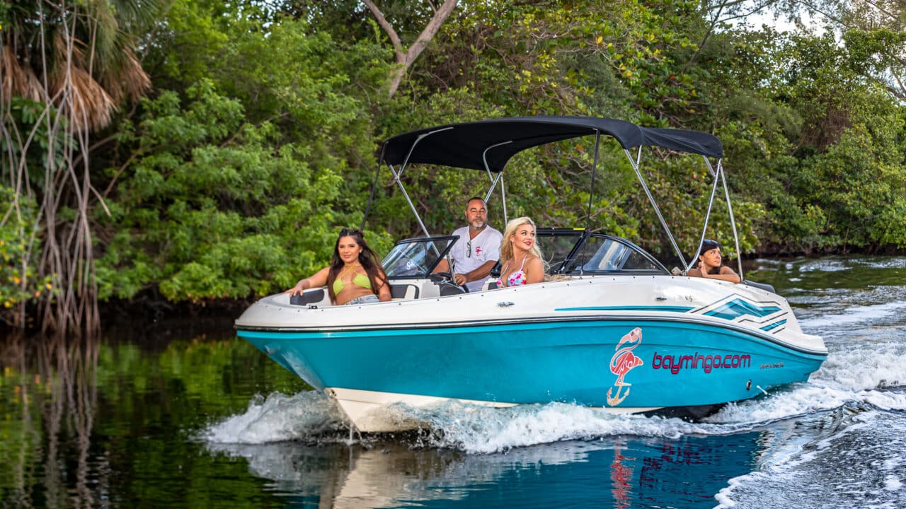 The Best Discovery boat tour - Baymingo