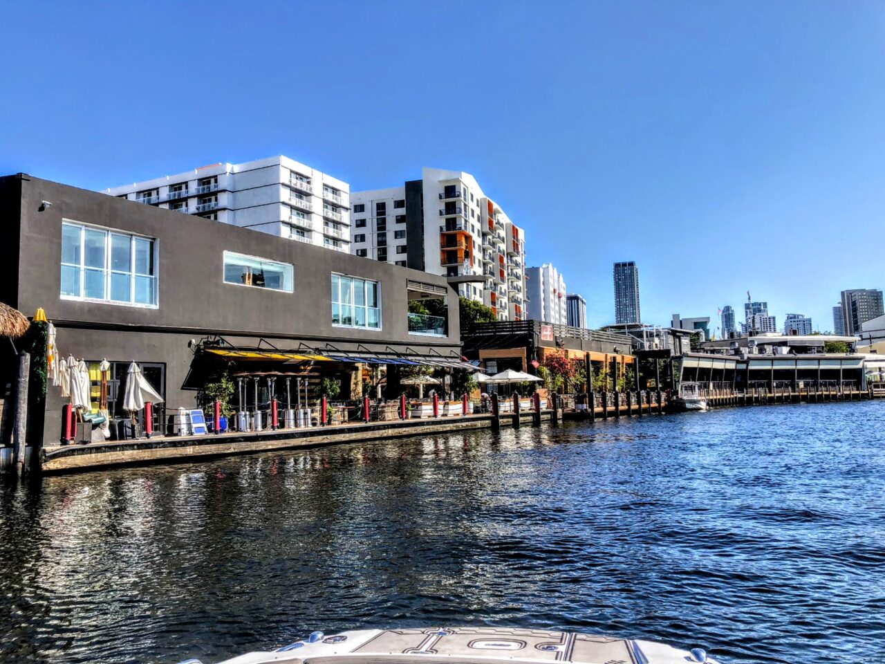 Explore the best Intracoastal with Baymingo Boat Tours